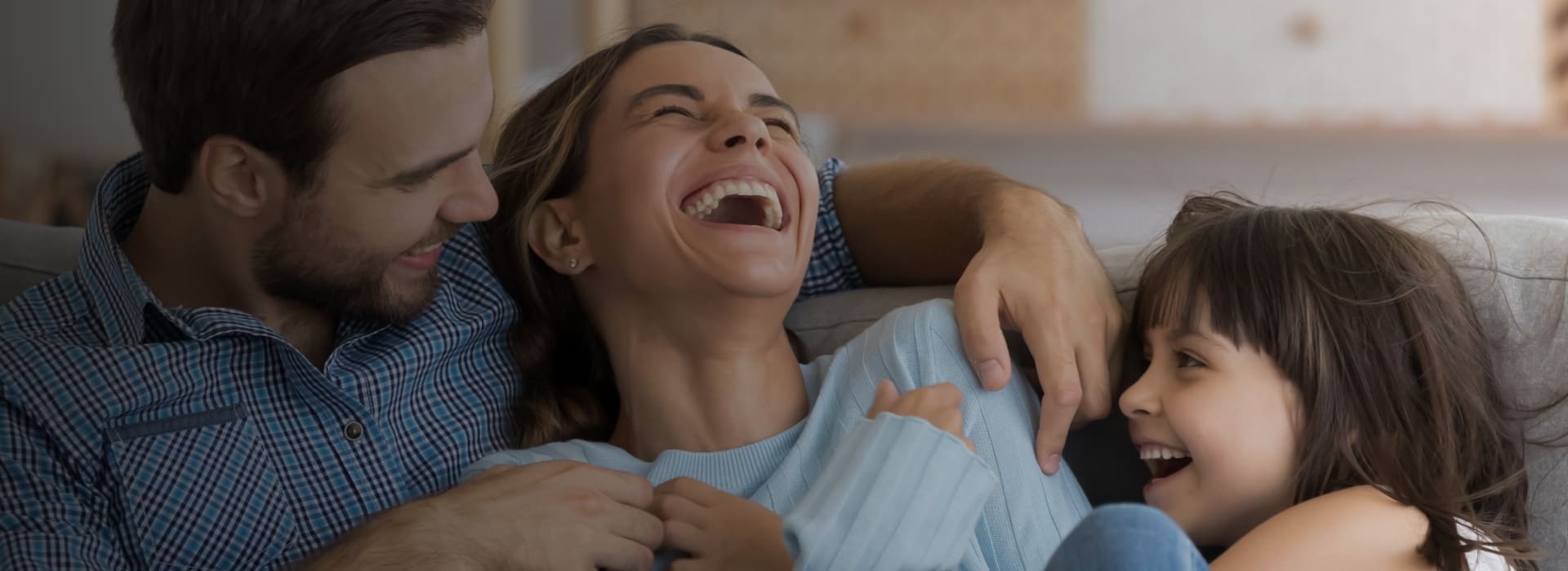 Perfection Pest Control Treatment Plans