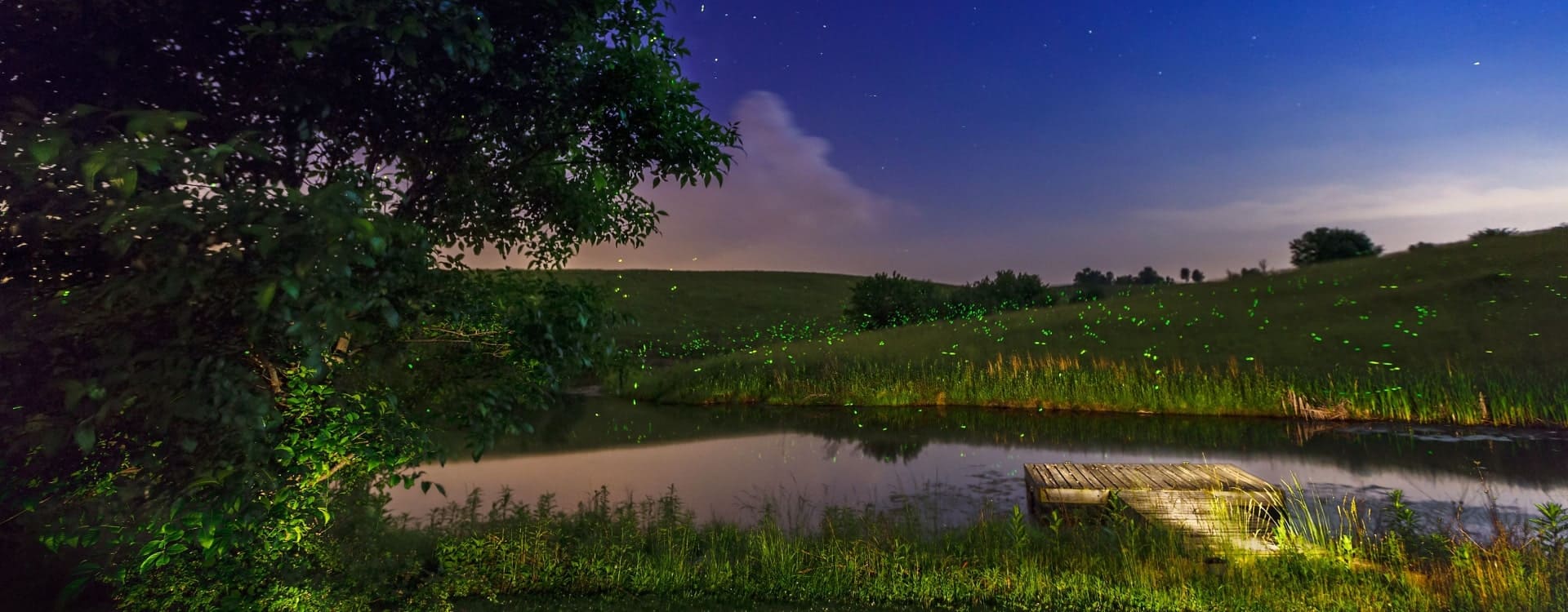 Crescent Springs, KY Pest Control | Pest Control Near Me